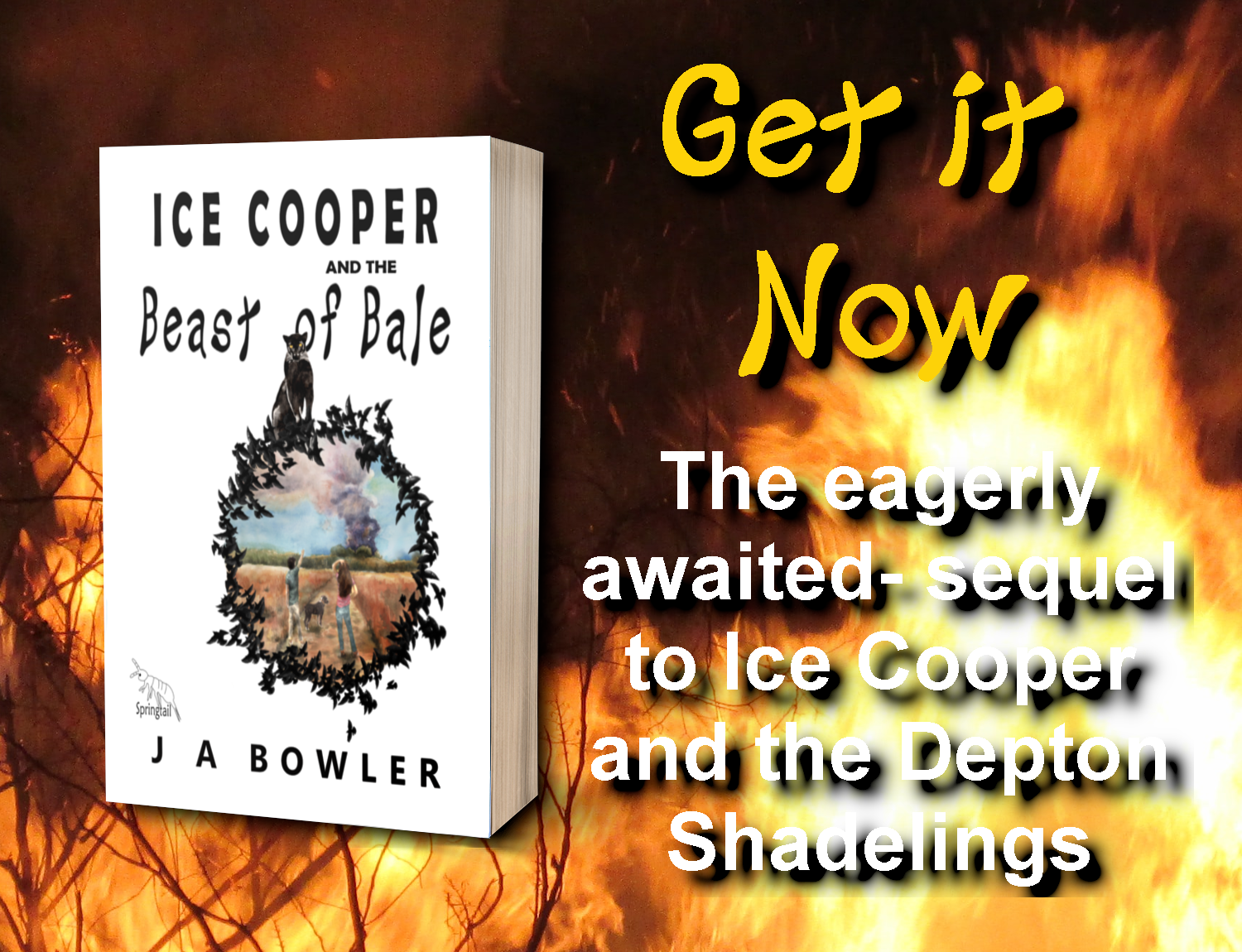 Books – J A BOWLER